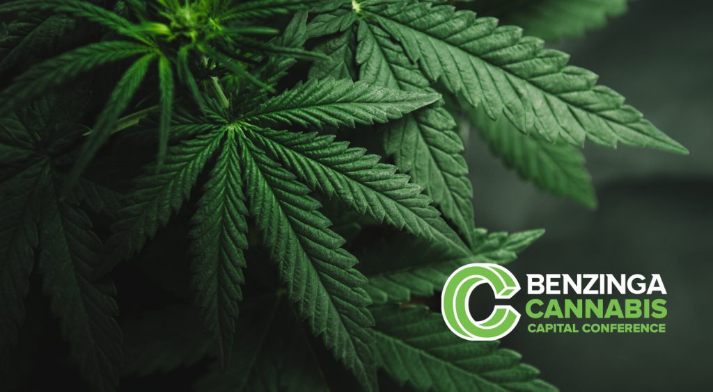 Benzinga Cannabis Capital Conference - IBN (InvestorBrandNetwork)