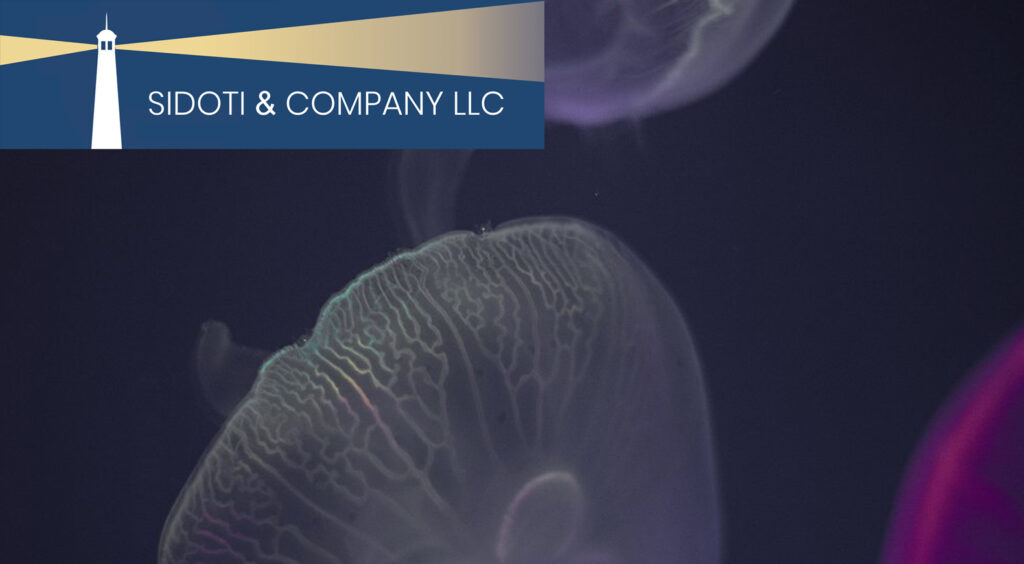 Sidoti Virtual Microcap Conference - IBN (InvestorBrandNetwork)